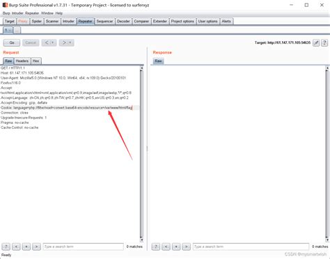 攻防世界 Fileinclude Csdn博客