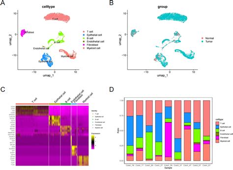 Cell Type Identification And Annotation A B Umap Showing Six Cell Download Scientific