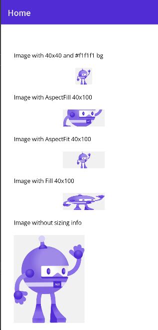 [bug] image sizing is not working as expected · issue 2213 · dotnet