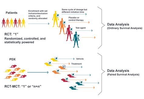 comprehensive pdx model collection for preclinical oncology research