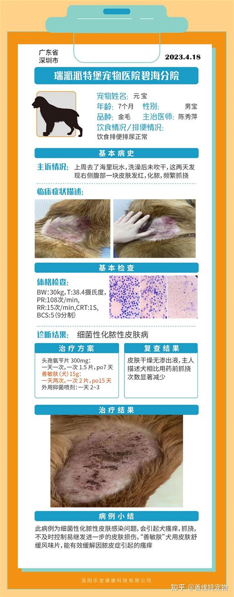 善维特病例分享一例善敏肤治疗犬细菌性化脓性皮肤病病例分享 知乎