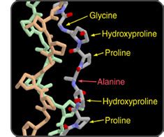 Biological Sequence Annotation And Assembling