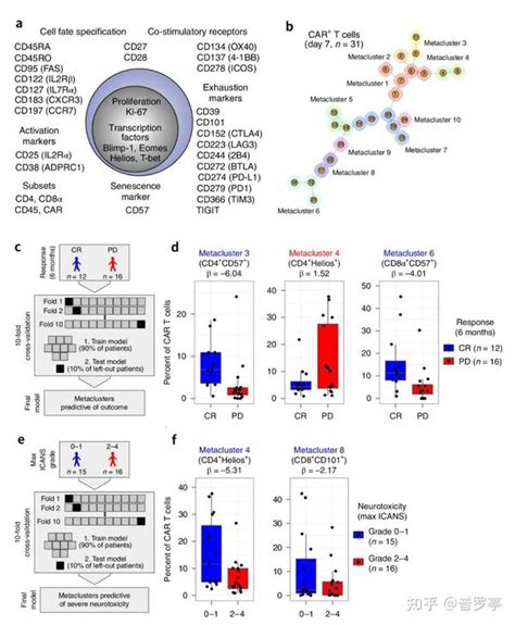 【文献分享，if 87 24】cytof分析发现car Treg细胞水平可识别对cd19 Car治疗耐药的患者 知乎