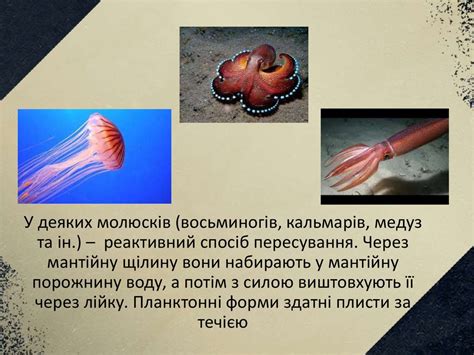Адаптації організмів до умов водного середовища мешкання презентация онлайн
