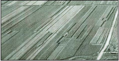 A Field Based Crop And Land Use Map Over Sanjiang Plain In Heilongjiang