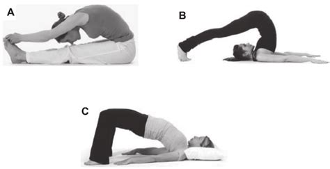 Common Yoga Poses Associated With Extreme Spinal Flexion Adapted From Download Scientific