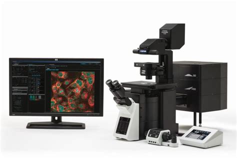 The New Fluoview Fv3000 Faster Simpler And Better Confocal Imaging Olympus Emea