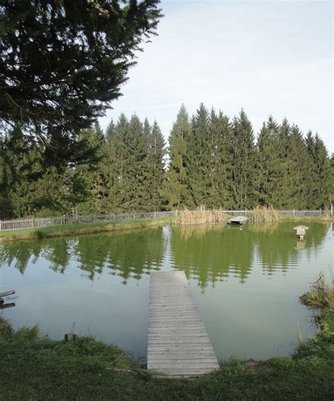 Creative Pond Dock Ideas For Added Functionality Charm