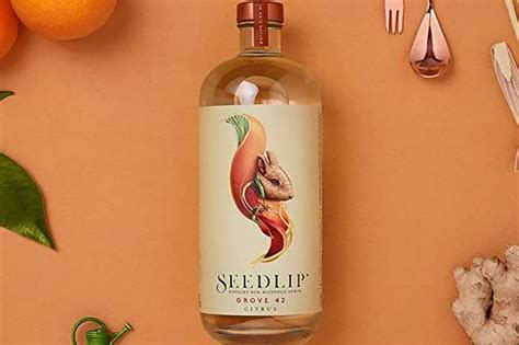 Aldi Launches Pink Gin Thats Cheaper Than Gordons Non Alcoholic Spirit Mirror Online