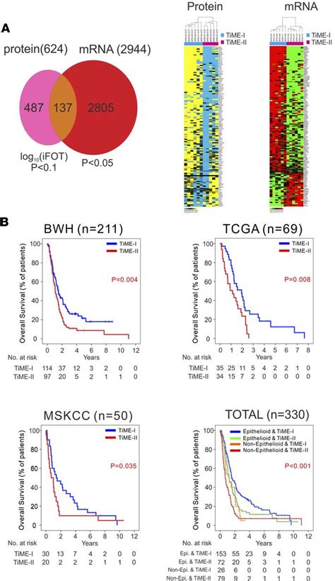 What Causes Peritoneal Cancer