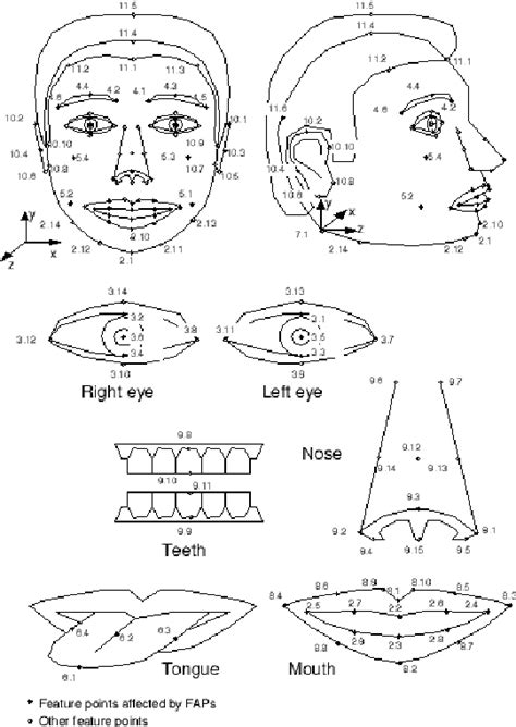 Figure 2 1 From Facial Features Tracking Using Active Appearance Models Semantic Scholar