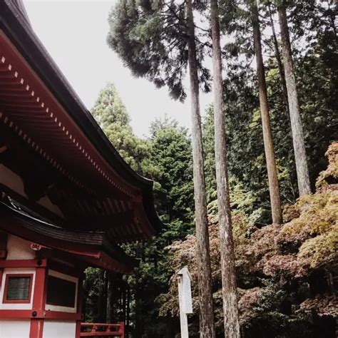 一生悬命，史上最残酷的修行：京都比叡山僧人的几千个日日夜夜 知乎