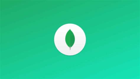 Como Instalar O Mongodb Compass No Linux Sempreupdate