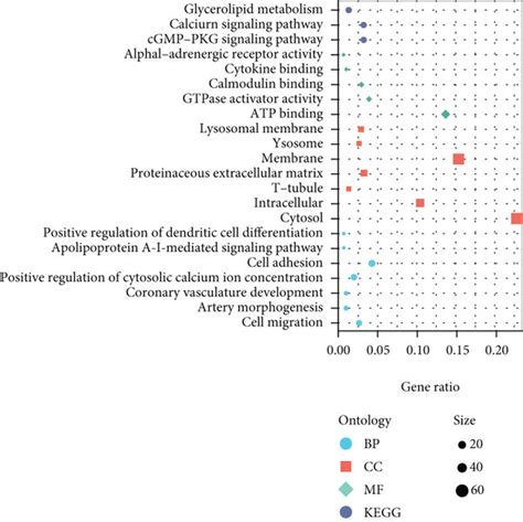 A Sample Clustering Dendrogram For Detecting Outliers In Carotid Download Scientific Diagram