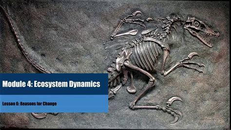 Module 4 Lesson 6 Youtube Module 4 Lesson 6 Youtube