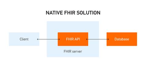 What Is The Future Of Healthcare Data Management FHIR APIs