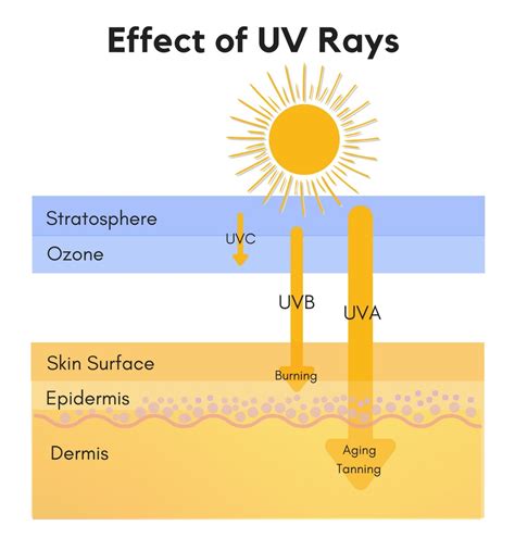 The Oxybenzone Magazine — Save The Corals