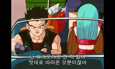 뽐뿌 딸바보 베지터 