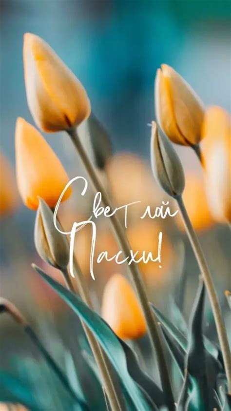 Открытки на Пасху 2025 большой красивый набор Скачай бесплатно