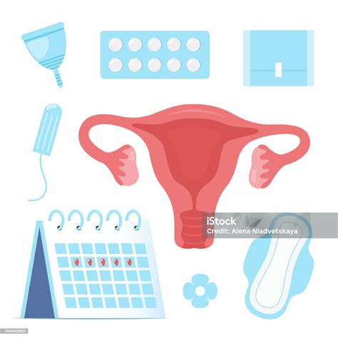 월경 요소 세트 패드 탐폰 생리컵 및 기타 여성 위생 제품 생리 달력입니다 자궁 여자 생식 건강 벡터 삽화 0명에 대한 스톡