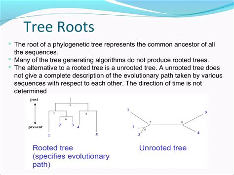 Multiple Sequence Alignment Just Glims Of Viewes On Bioinformatics Ppt Genealogy And