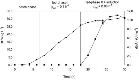 Iptg Induced Reraii Production In Fedbatch Cultivation Of Recombinant Download Scientific