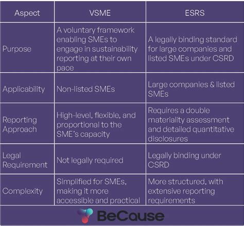 The Future Of Sustainability Reporting How Vsme And Esrs Are Shaping The Landscape