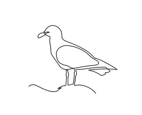 27 Desenhos Lindos De Gaivota Para Imprimir E Colorirpintar