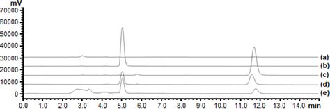 Representative Hplc Chromatograms Of Methanol As Solvent A Standard
