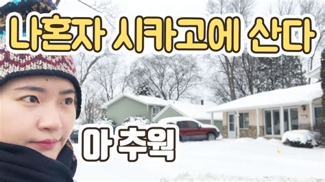 🇺🇸 시카고 외로운 직장인 나 혼자 산다 ⎮ 미국 일상 브이로그 Youtube