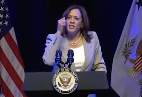 Black History Standards Redux Vp Harris Burns Tax Dollars By The