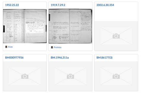 How To Get Your Neo4j Rails App Up And Running Quickly