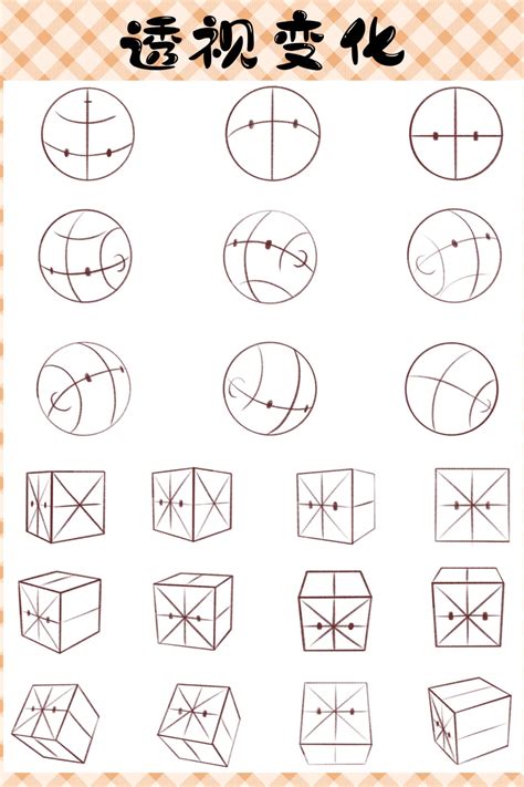 常用不同角度的头部示范和透视分析~