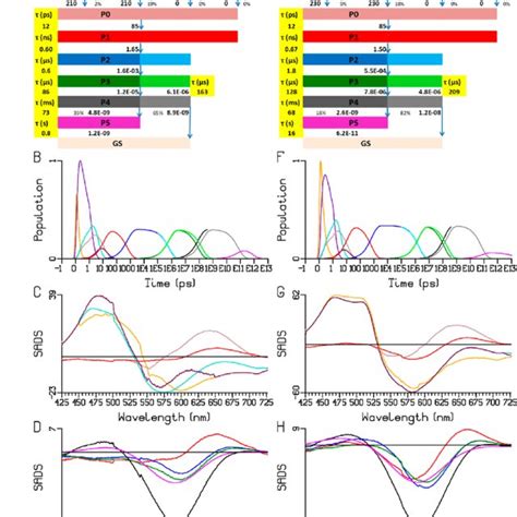 Sequential Analysis Of The Chrimson Reaction Dynamics At Ph 50 Upon