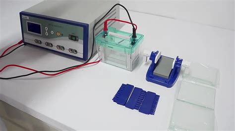 Protein Electrophoresis Gel Electrophoresis Equipment Buy