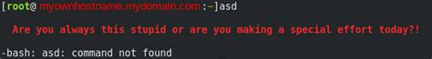 bash insulter sme server