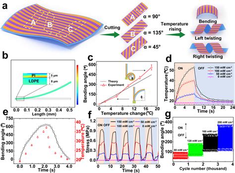 Ultralight And Super Sensitive Bimorph Soft Actuator Films In Response Download Scientific
