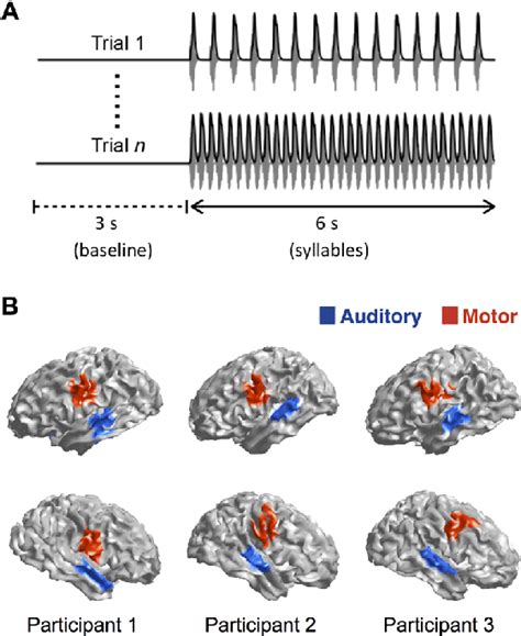 Extracting Motor And Auditory Cortex Activity While Perceiving Speech