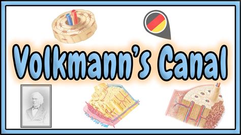 83 Volkmann Canal Youtube