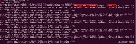Wireshark 如何抓带vlan Id的报文 Wireshark抓vlan报文 Csdn博客