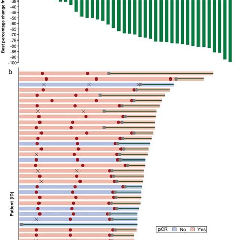 Clinical And Pathological Response To Neoadjuvant Camrelizumab Plus Download Scientific Diagram