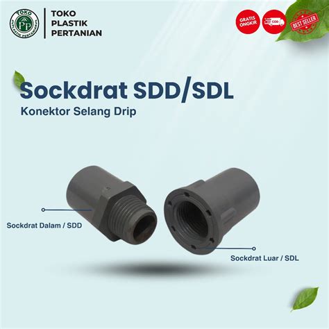 Harga Sdd Sdl Pipa Terbaru Okt 2025 Biggo Indonesia