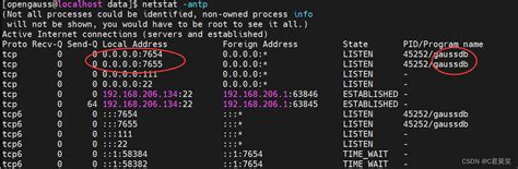 Openeuler快速入门 Navicat远程链接opengauss数据库opengauss远程连接 Csdn博客
