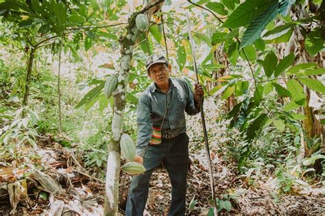 Atualizado 2026 Costa Rica Vida Selvagem Natureza E Imersão Cultural Excursão Privada De 10