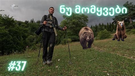 დათვთან ერთად მარტო ტყეში Youtube