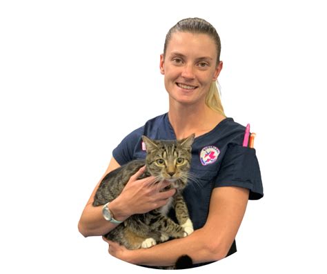 About Us Bundaberg Vet Sugarland Animal Hospital