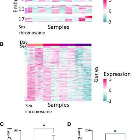 Expression Patterns During The Embryonic Development Of M Rosenbergii