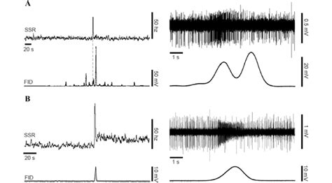 Gc Fid Coupled Single Sensillum Recordings Ssr Showing Neuronal