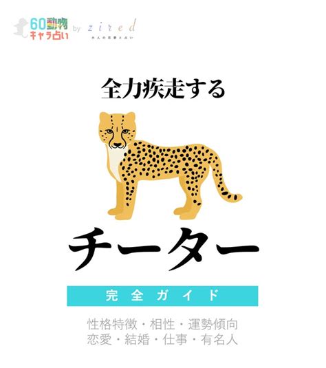 全力疾走するチーターの特徴動物キャラ占い zired