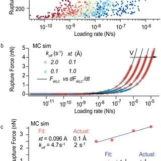 Examples Of Analyzing Polymer Based DFS Data A All Rupture Forces Vs